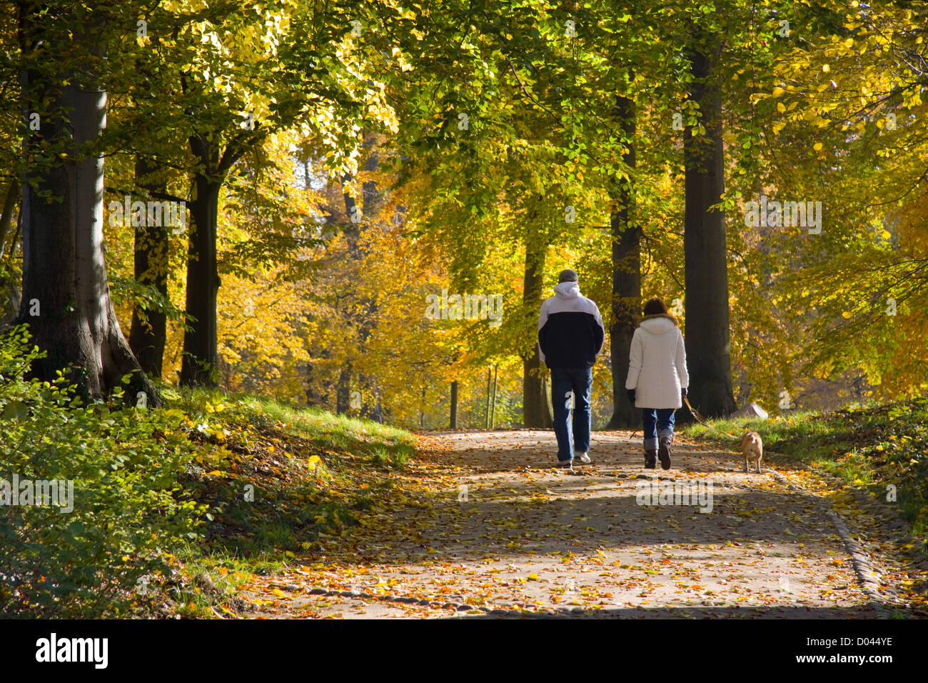 Autumns walks hi-res stock photography and images - Alamy