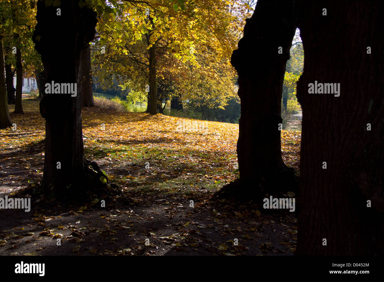 Back light with black shadow hi-res stock photography and images - Alamy
