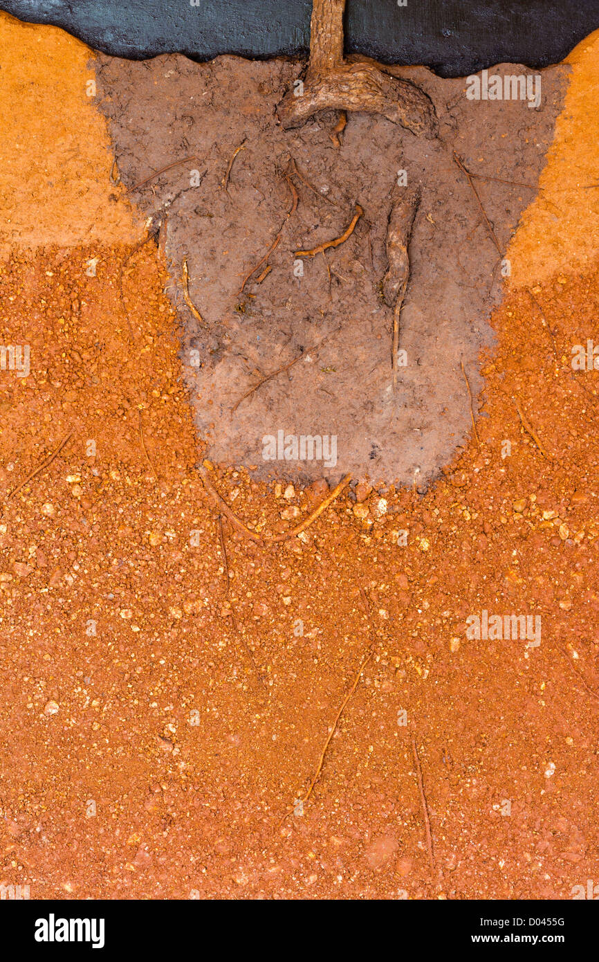 Vertical View of Soil Layers under the ground Stock Photo - Alamy