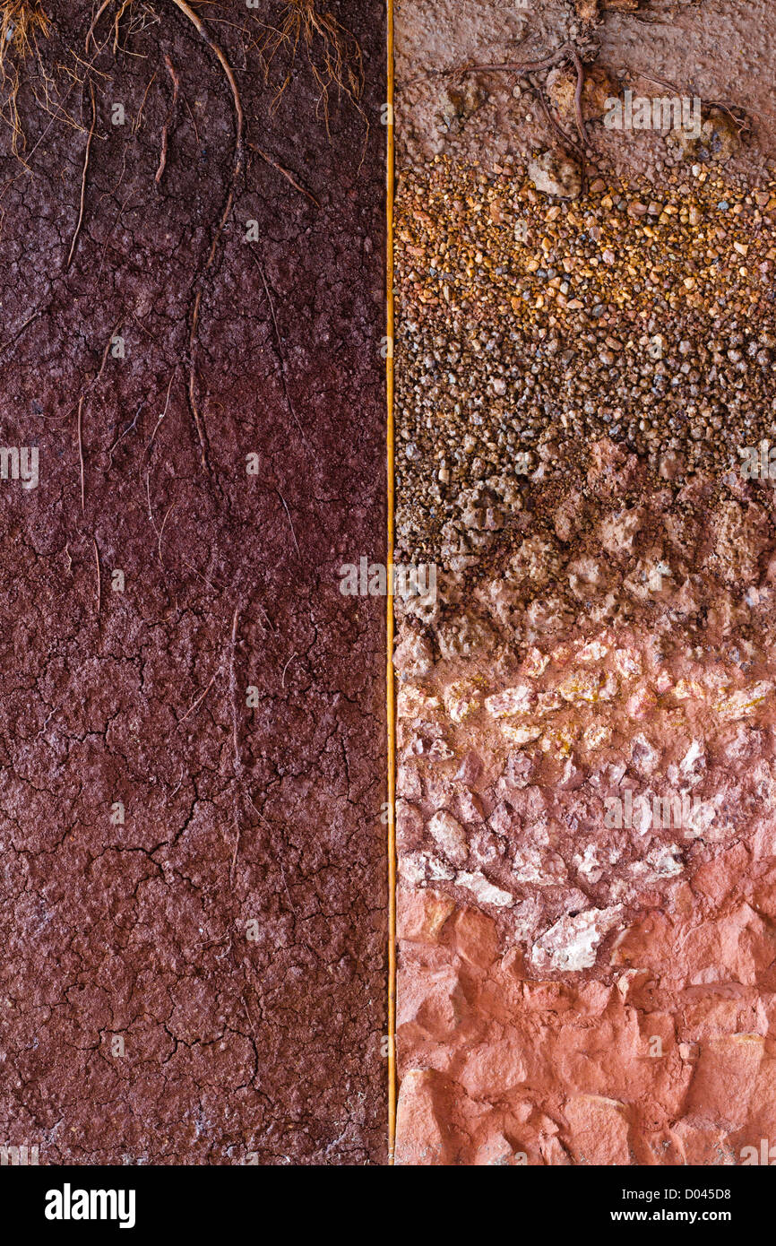 Vertical View of Soil Layers under the ground Stock Photo - Alamy