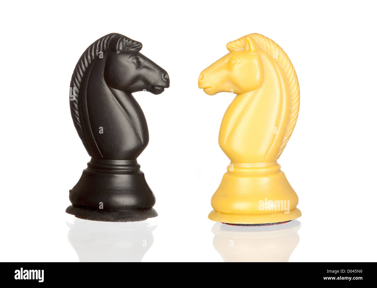 Chess knights isolated on white background with reflection on the floor ...