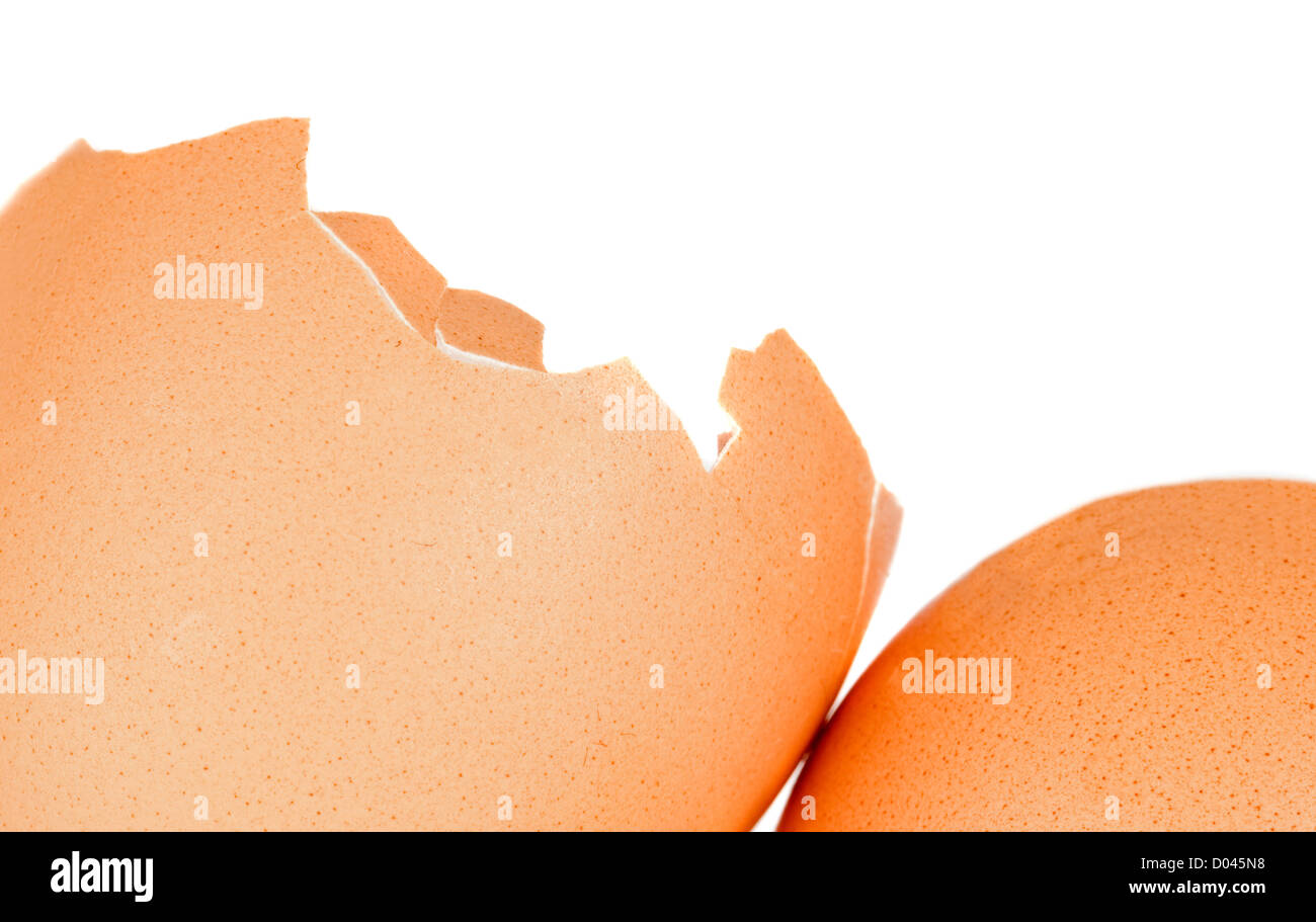 Broken egg shell on a white background Stock Photo - Alamy