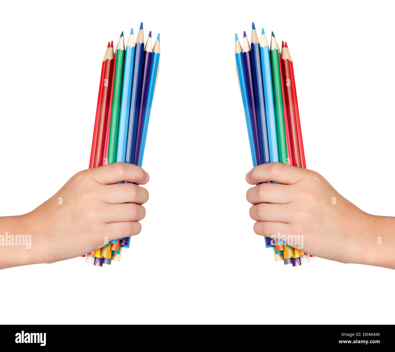 Two hands holding many colored pencils isolated on white background ...