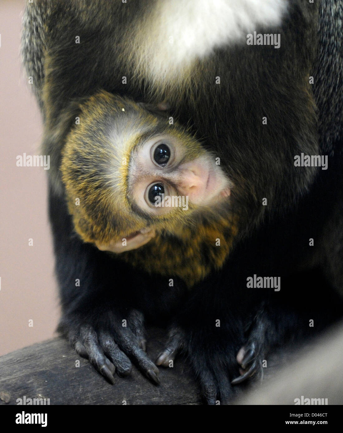 16 11 2005 hi-res stock photography and images - Alamy