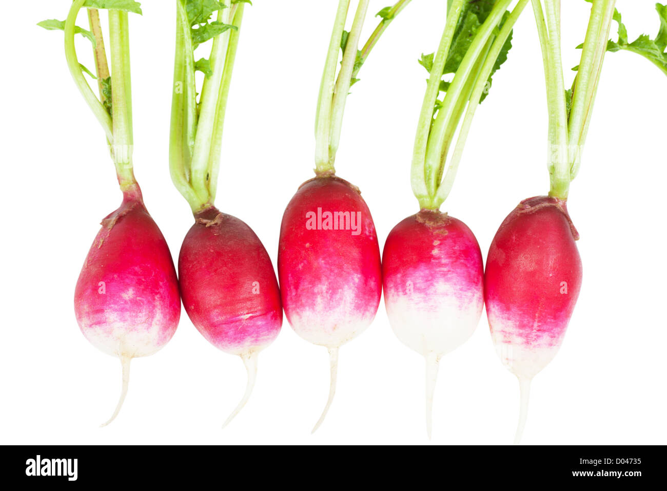 Garden grown radish hi-res stock photography and images - Alamy
