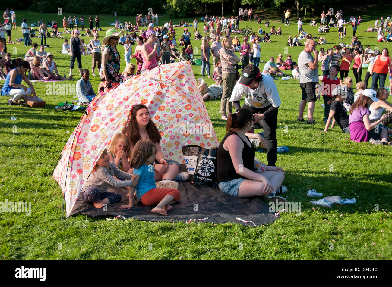 Crowd sitting on grass listening to a concert in Crystal Palace Park ...
