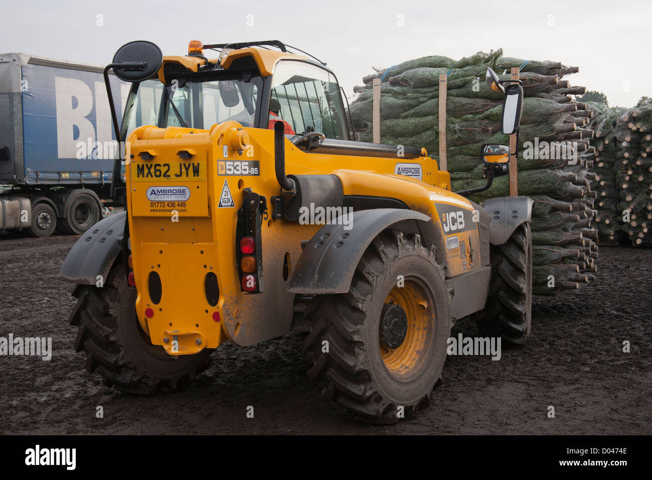 A JCB telehandler with a load of Christmas trees ready for loading ...