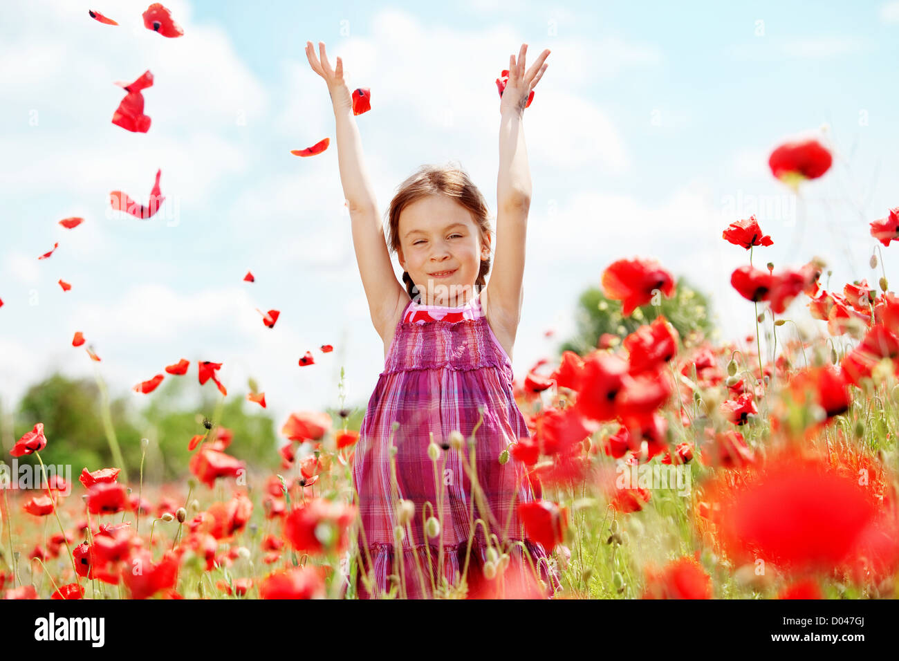 Cute child girl at poppy field Stock Photo - Alamy