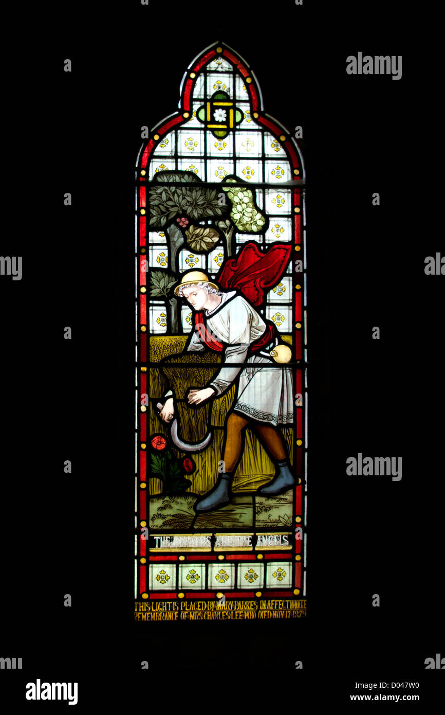 Jesus And Reaping The Harvest