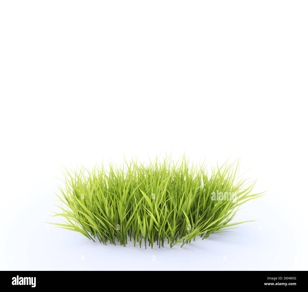 Small, round patch of fresh grass Stock Photo - Alamy