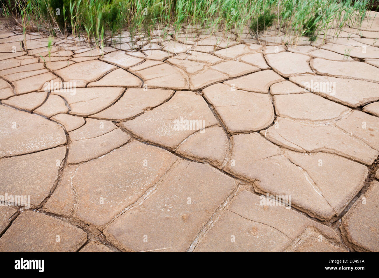 Cracks in dry land Stock Photo - Alamy