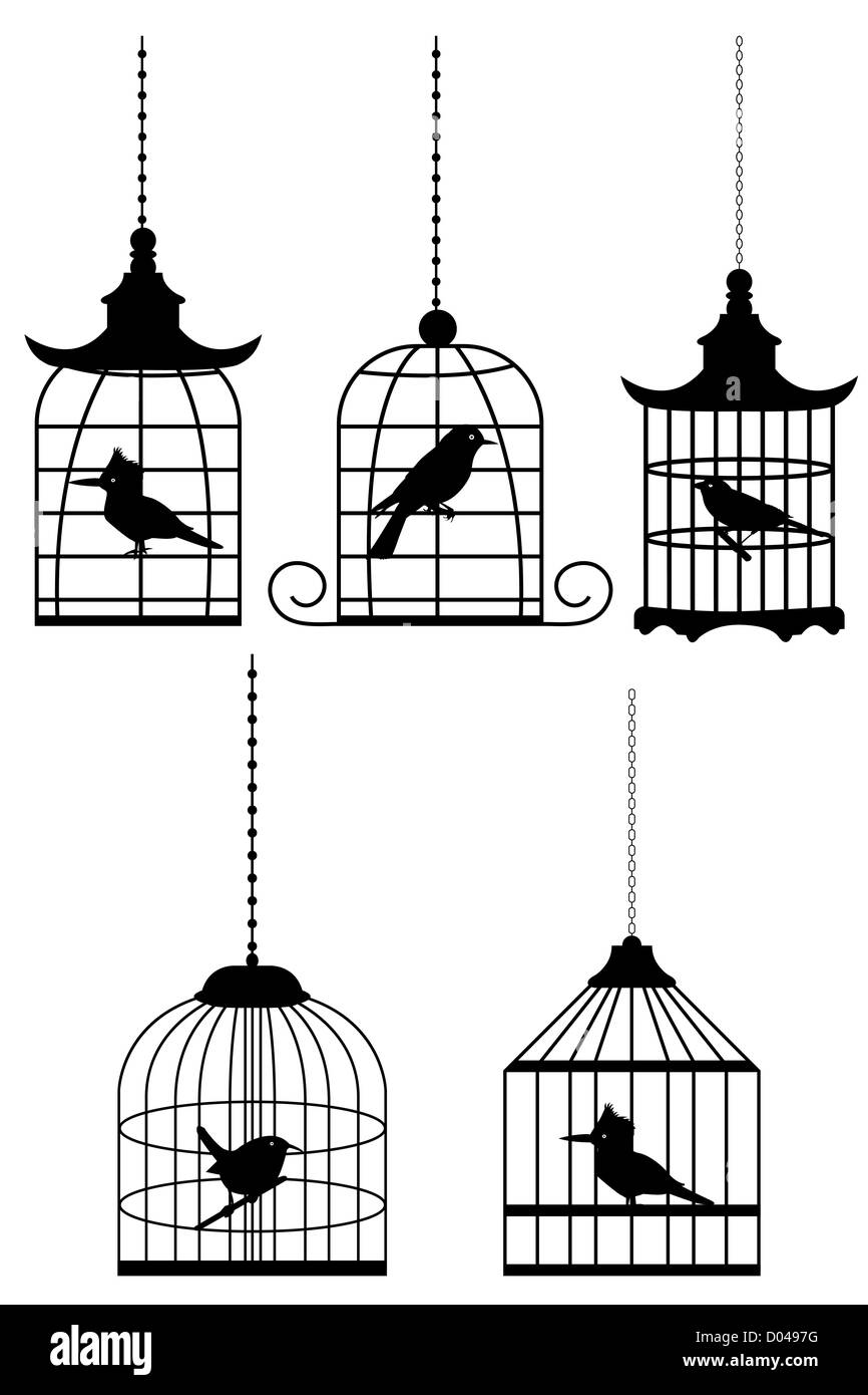 illustration of bird in cage on white background Stock Photo - Alamy