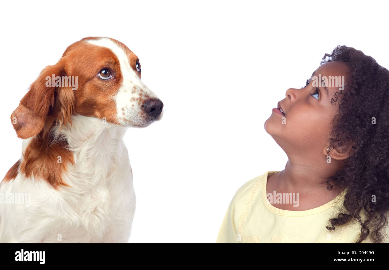 Beautiful girl and her dog looking up isolated on white background ...