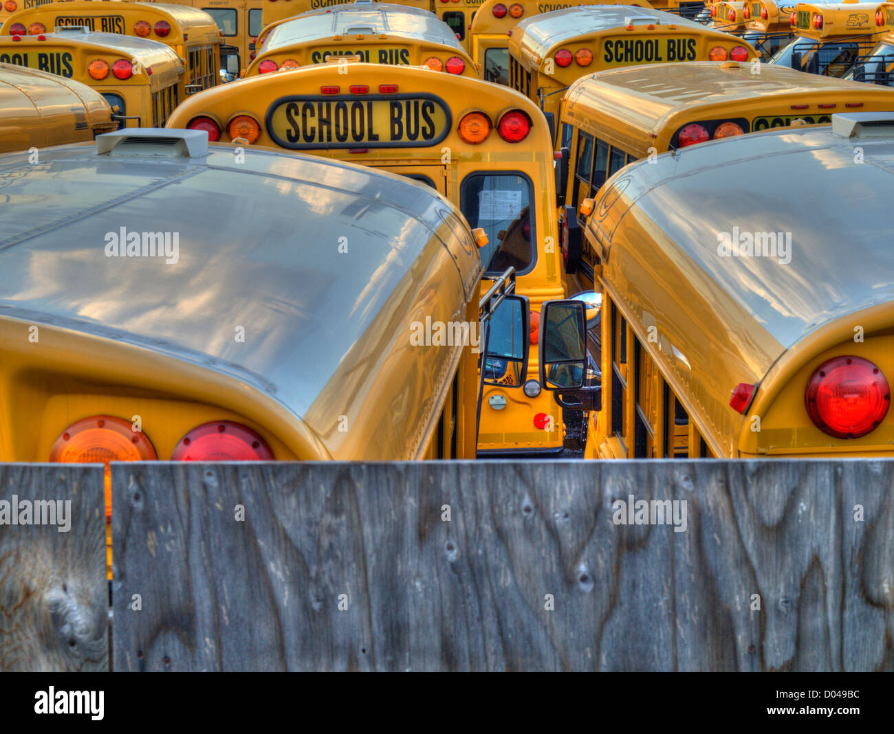 Several school buses in a parking lot Stock Photo - Alamy