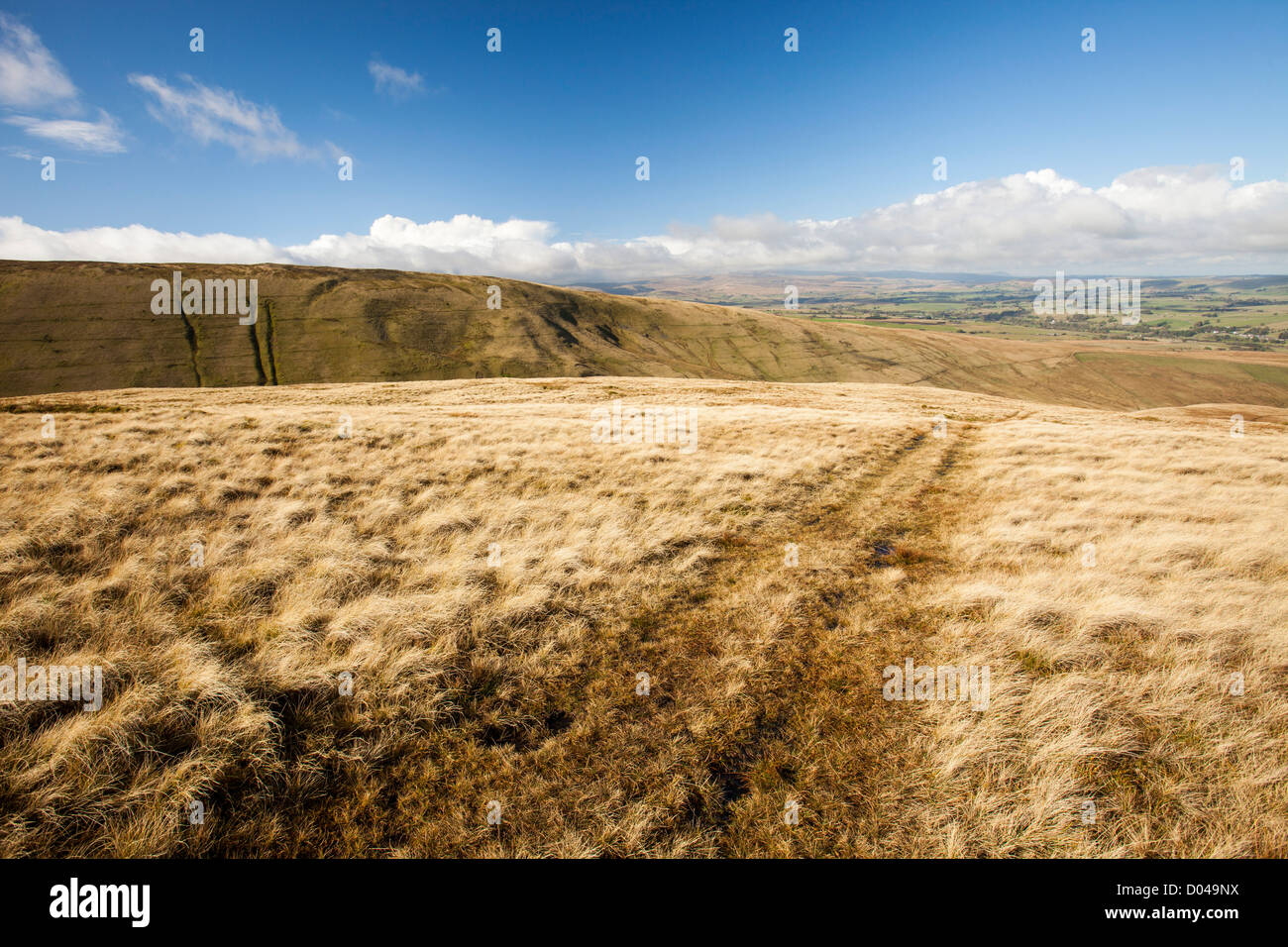 Near Green Bell in The Howgills, Cumbria, UK Stock Photo - Alamy