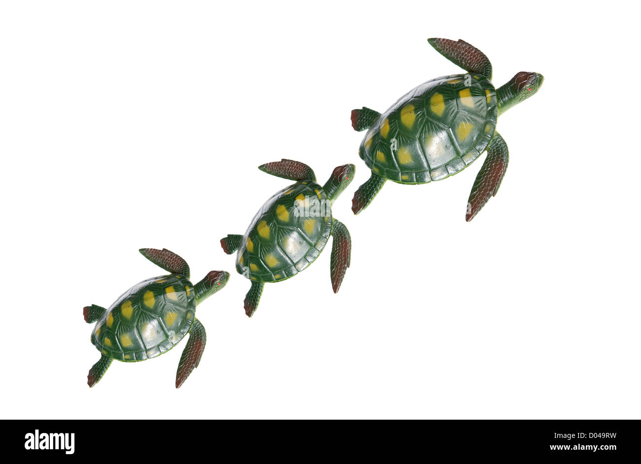 Family of three turtles isolated over white Stock Photo - Alamy