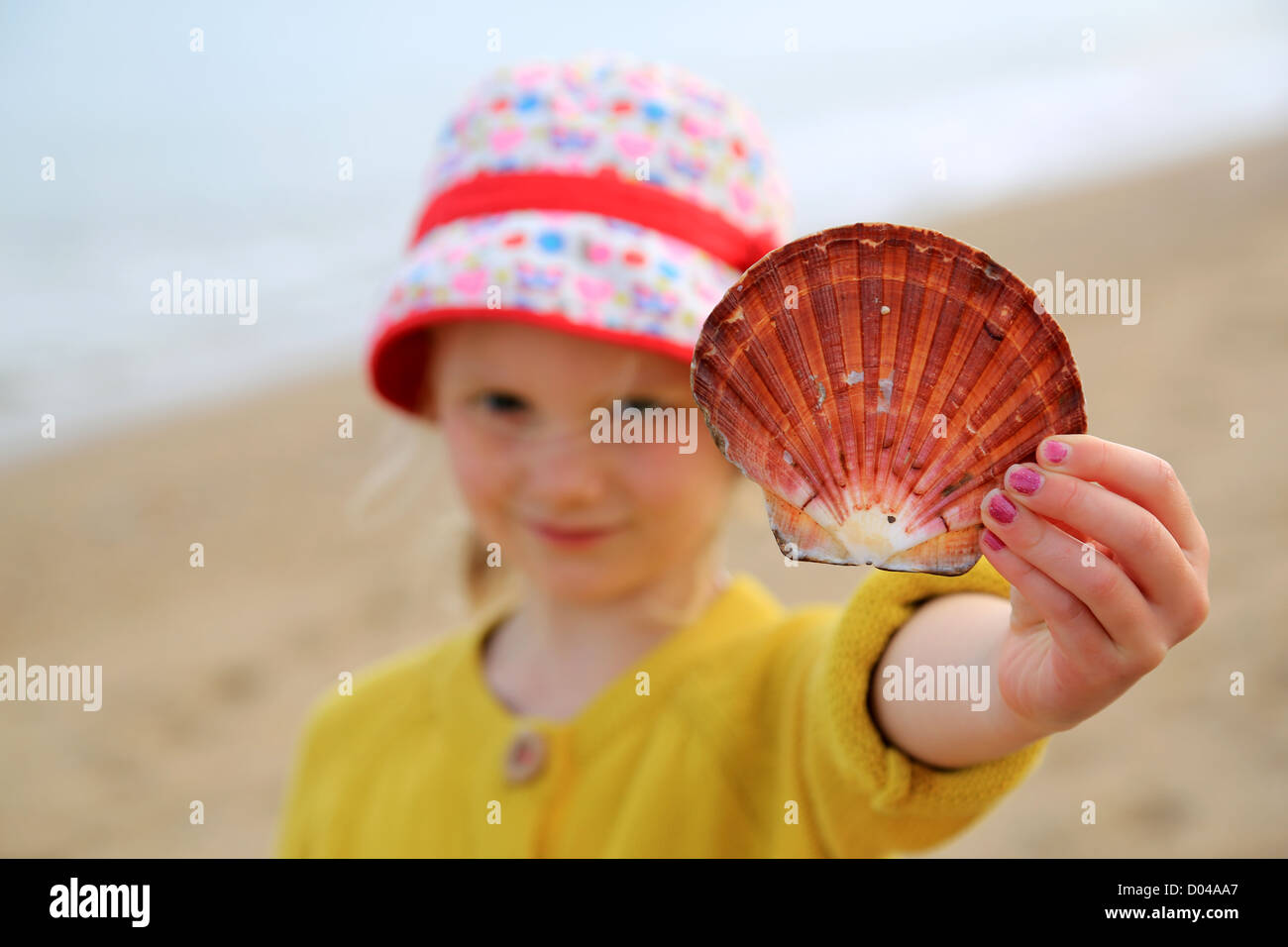 Shell 8 hi-res stock photography and images - Alamy