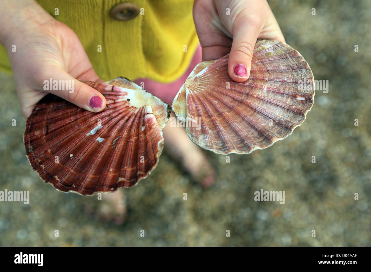 Flotsam beachcombing hi-res stock photography and images - Alamy