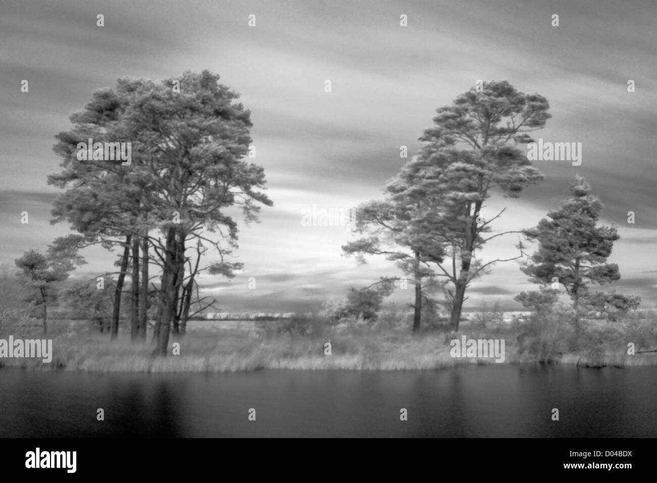 Infrared absorption hi-res stock photography and images - Alamy