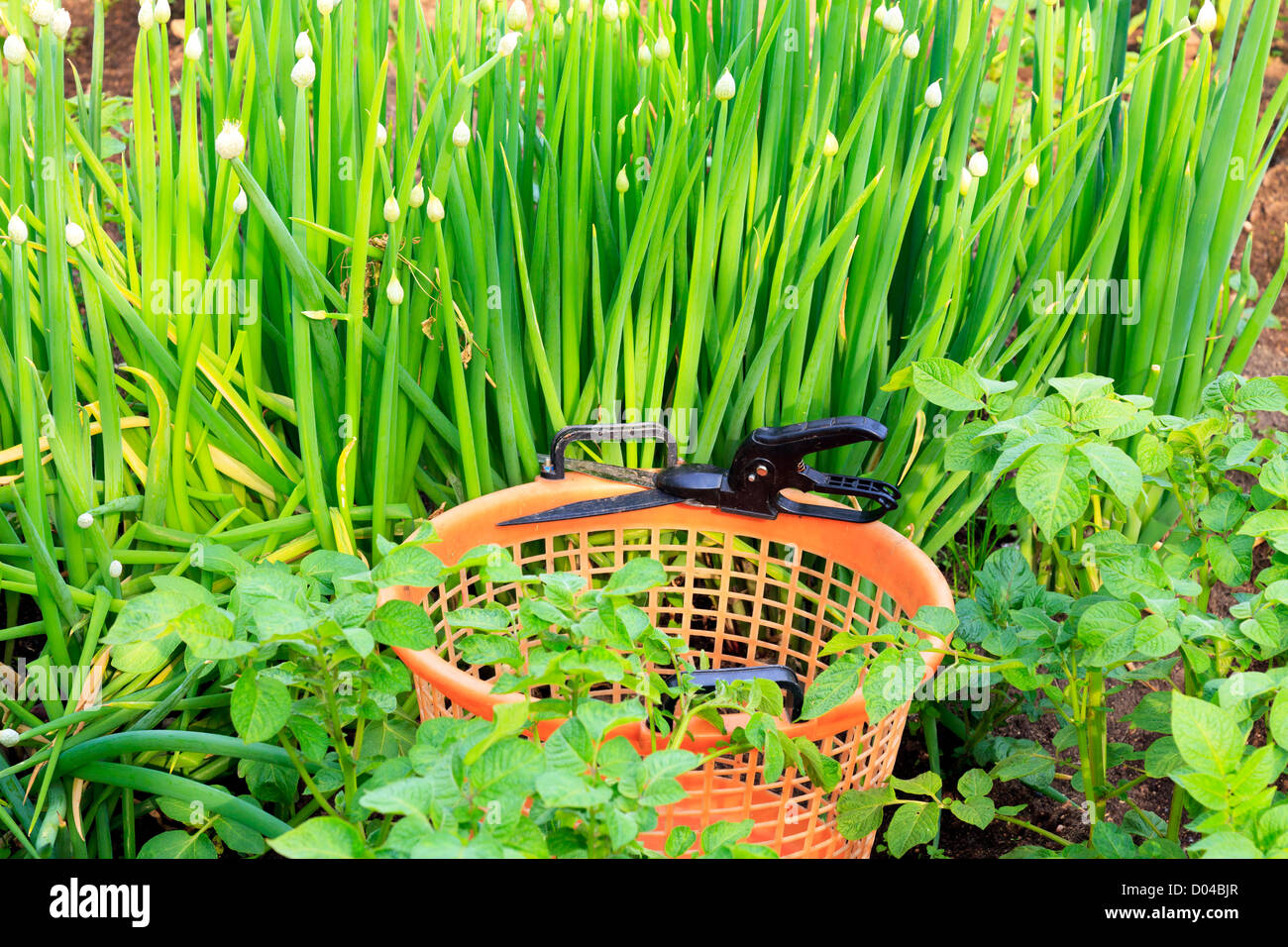 Bountiful earth hi-res stock photography and images - Alamy