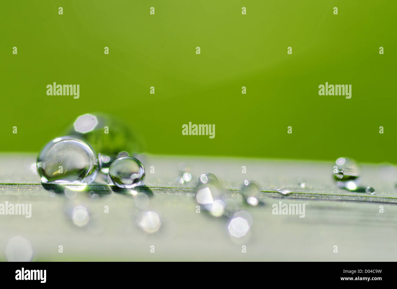 Dropelet hi-res stock photography and images - Alamy