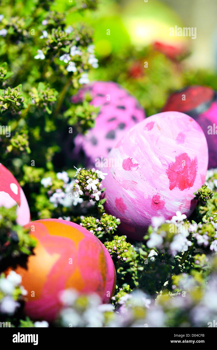 Row of Easter Eggs with Daisy on Fresh Green Grass Stock Photo - Alamy
