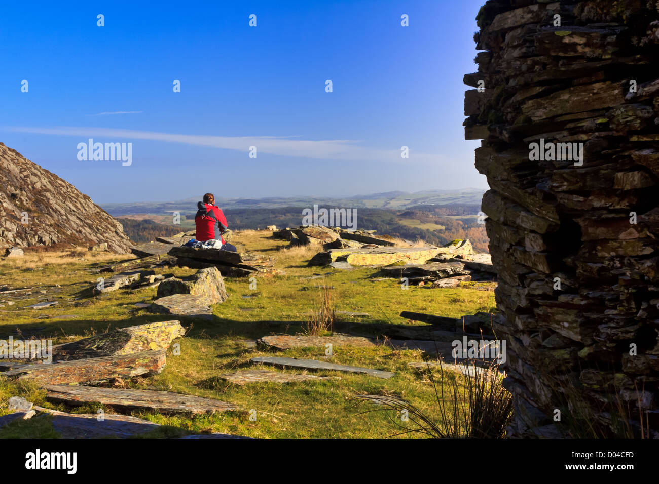 Taking in the View Stock Photo - Alamy