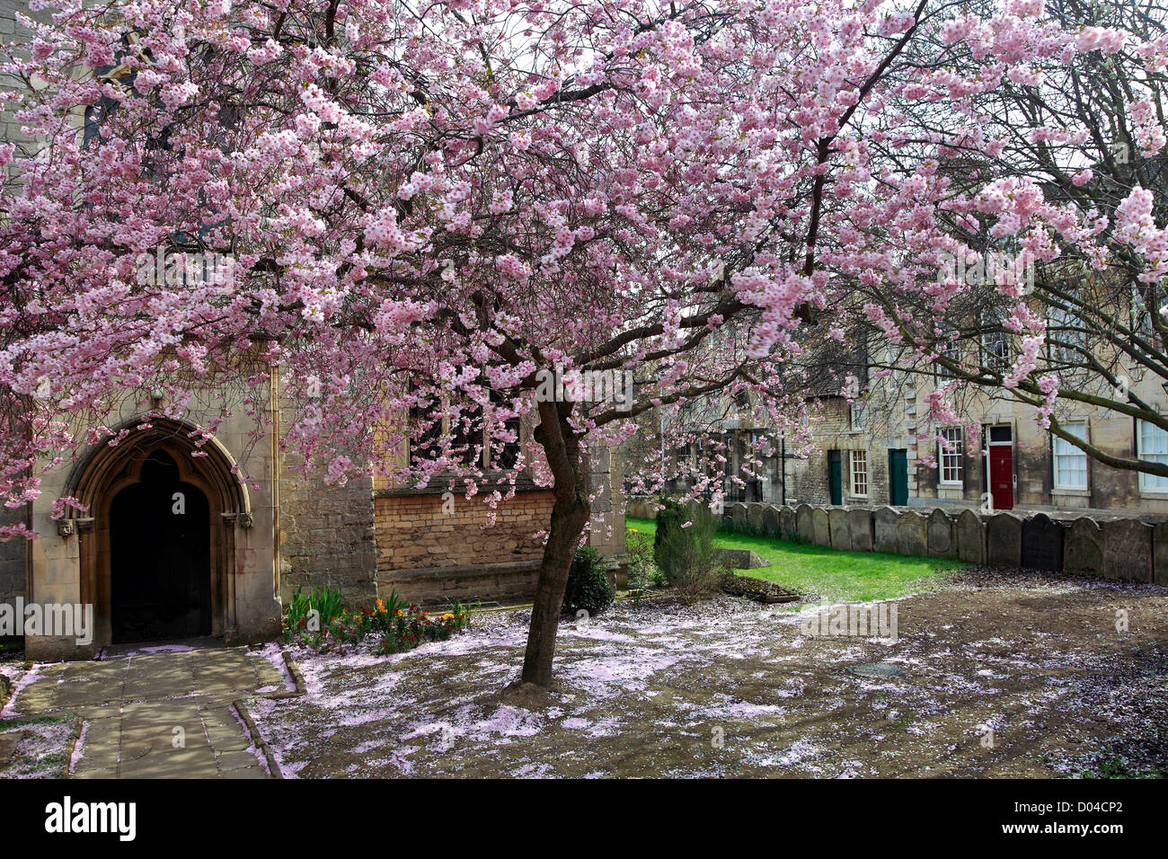 St georges conservation area hi-res stock photography and images - Alamy