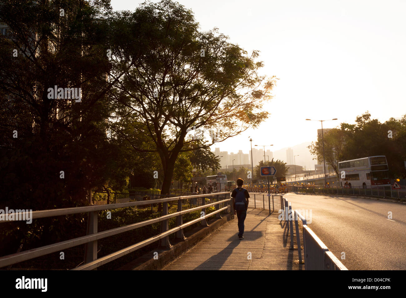 Woods mist sunset walk hi-res stock photography and images - Alamy
