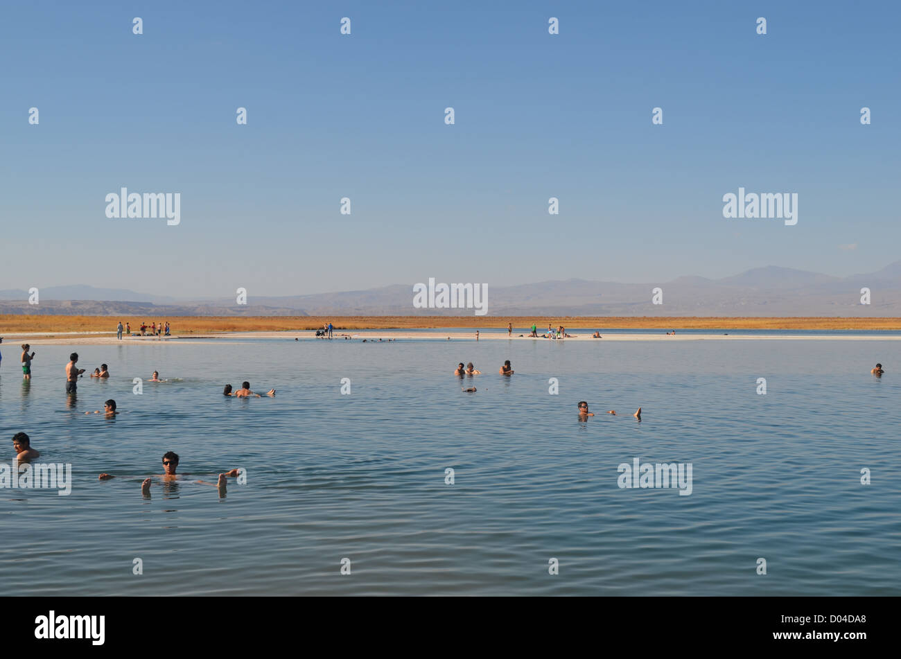 Laguna Cejar in the Salar de Atacama, a salt lake where visitors can ...