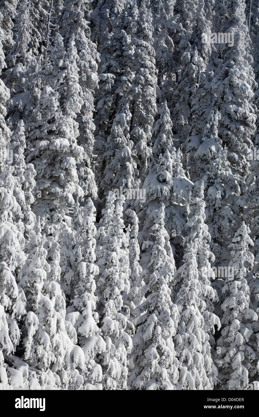 Hurricane ridge hill hi-res stock photography and images - Alamy