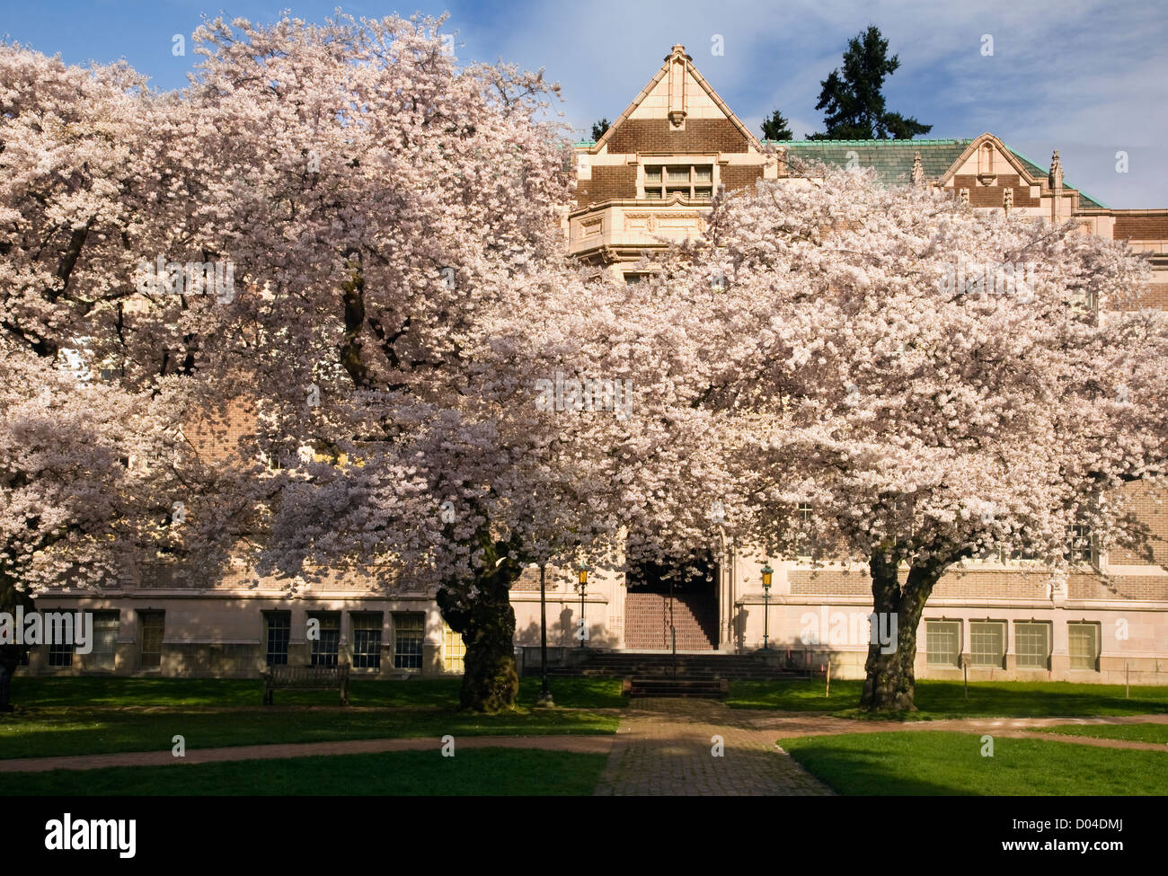 Seattle university hi-res stock photography and images - Alamy
