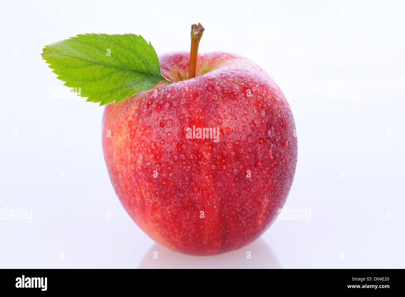 Apple Stem