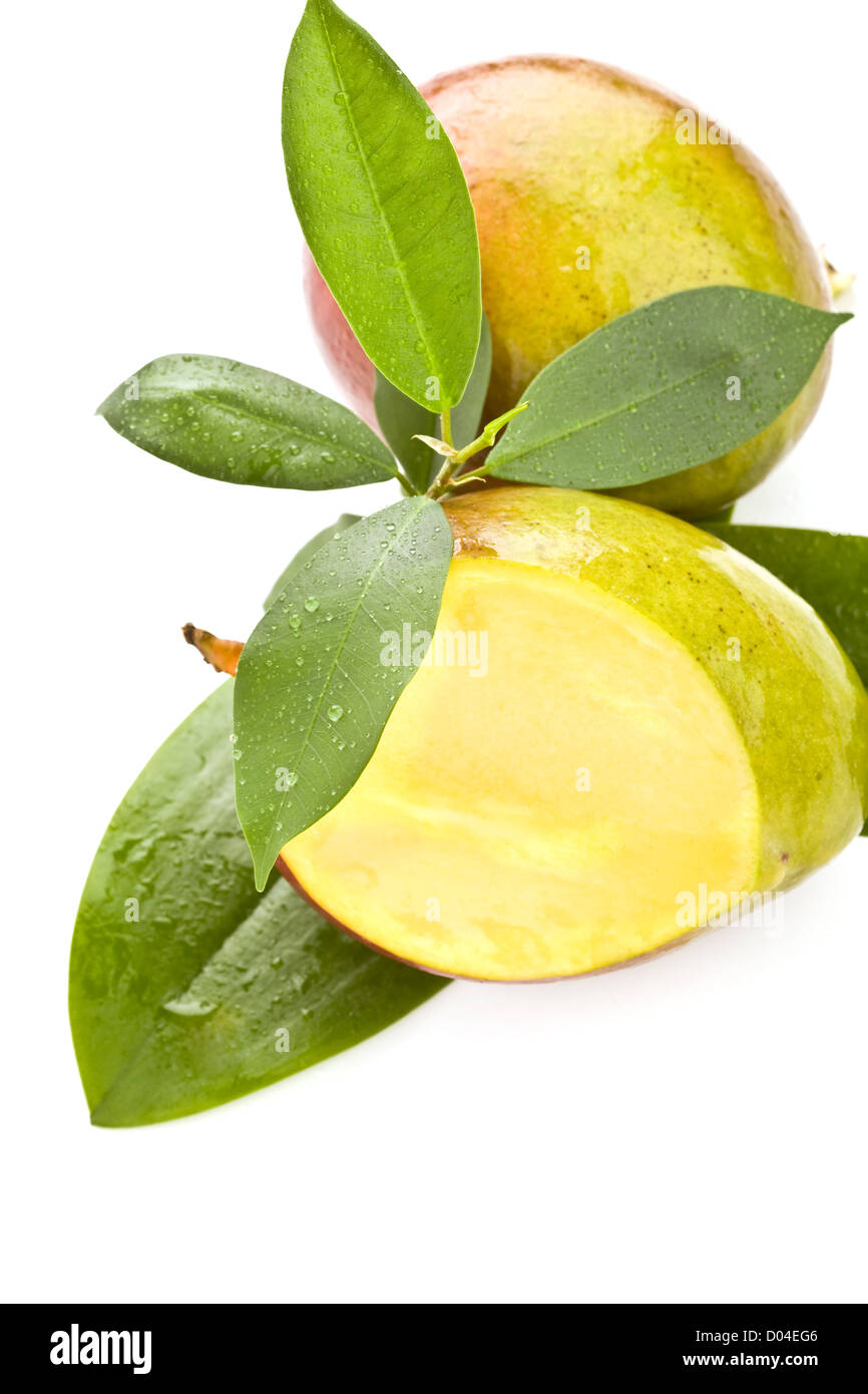 photo of tropical mango fruit with green leaves on white isolated ...
