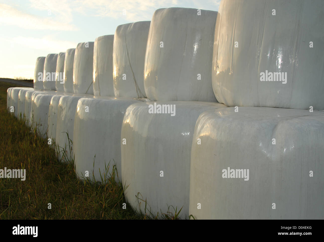 Bales of hay in row Stock Photo - Alamy