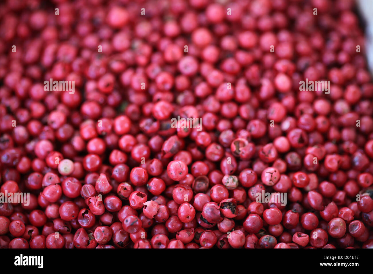 Red pepper corns Stock Photo - Alamy