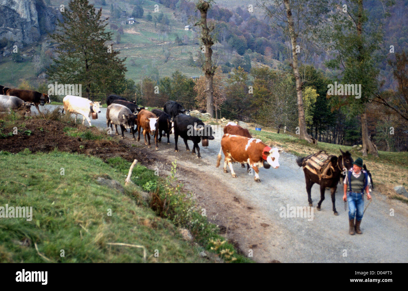 Piamonte italy hi-res stock photography and images - Alamy