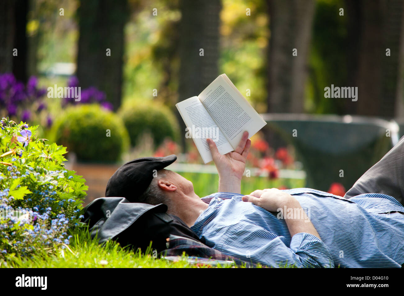 Portrait of a man relaxing in the sunshine whilst reading a book. Man ...