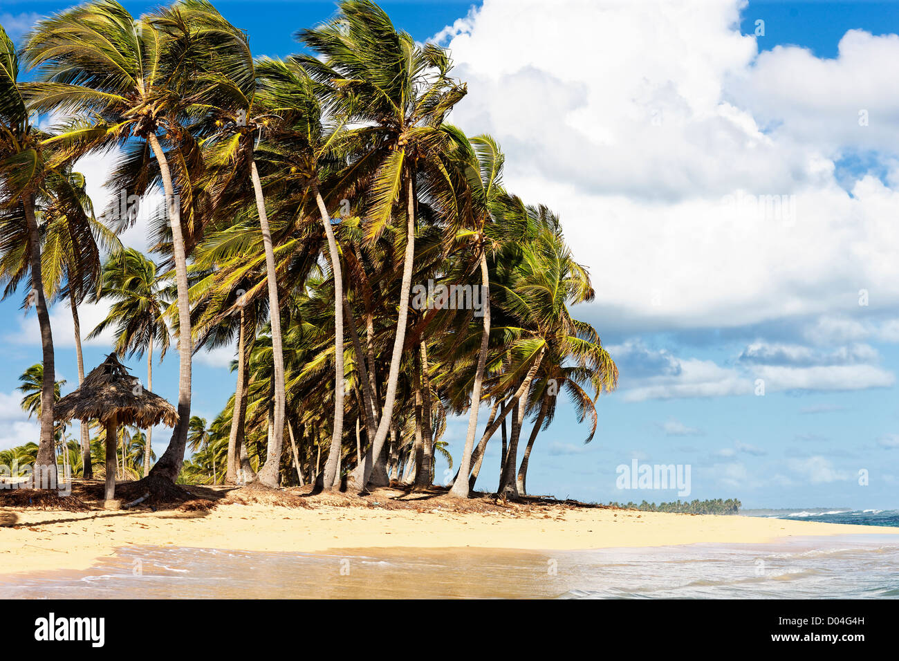 Caribbean wind hi-res stock photography and images - Alamy