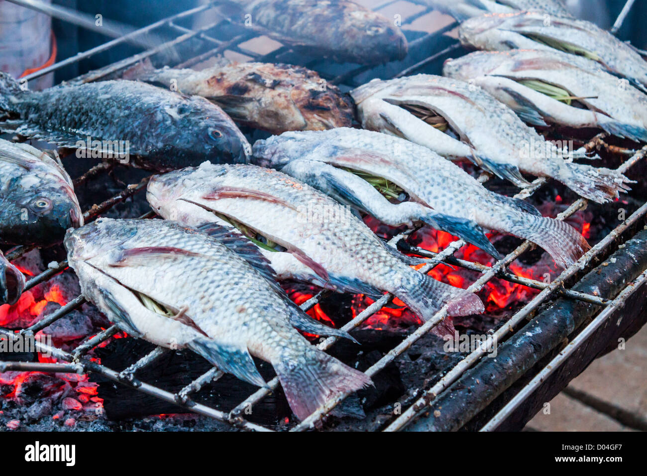 Burn fish hi-res stock photography and images - Alamy