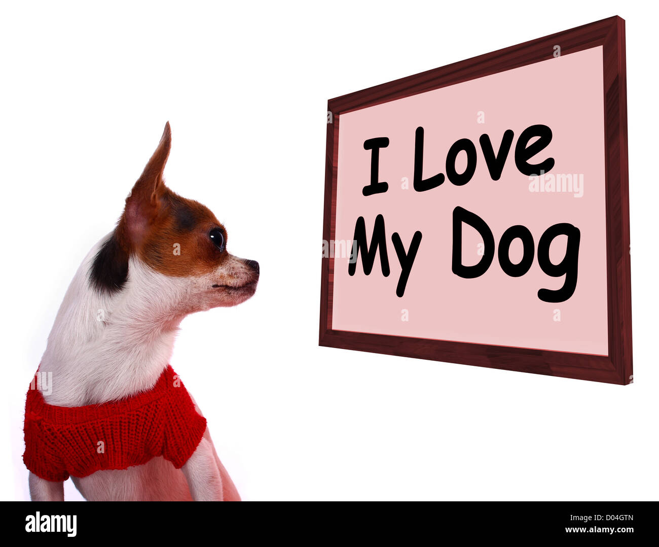 I Love My Dog Sign Shows Loving Adorable Friendship Stock Photo - Alamy