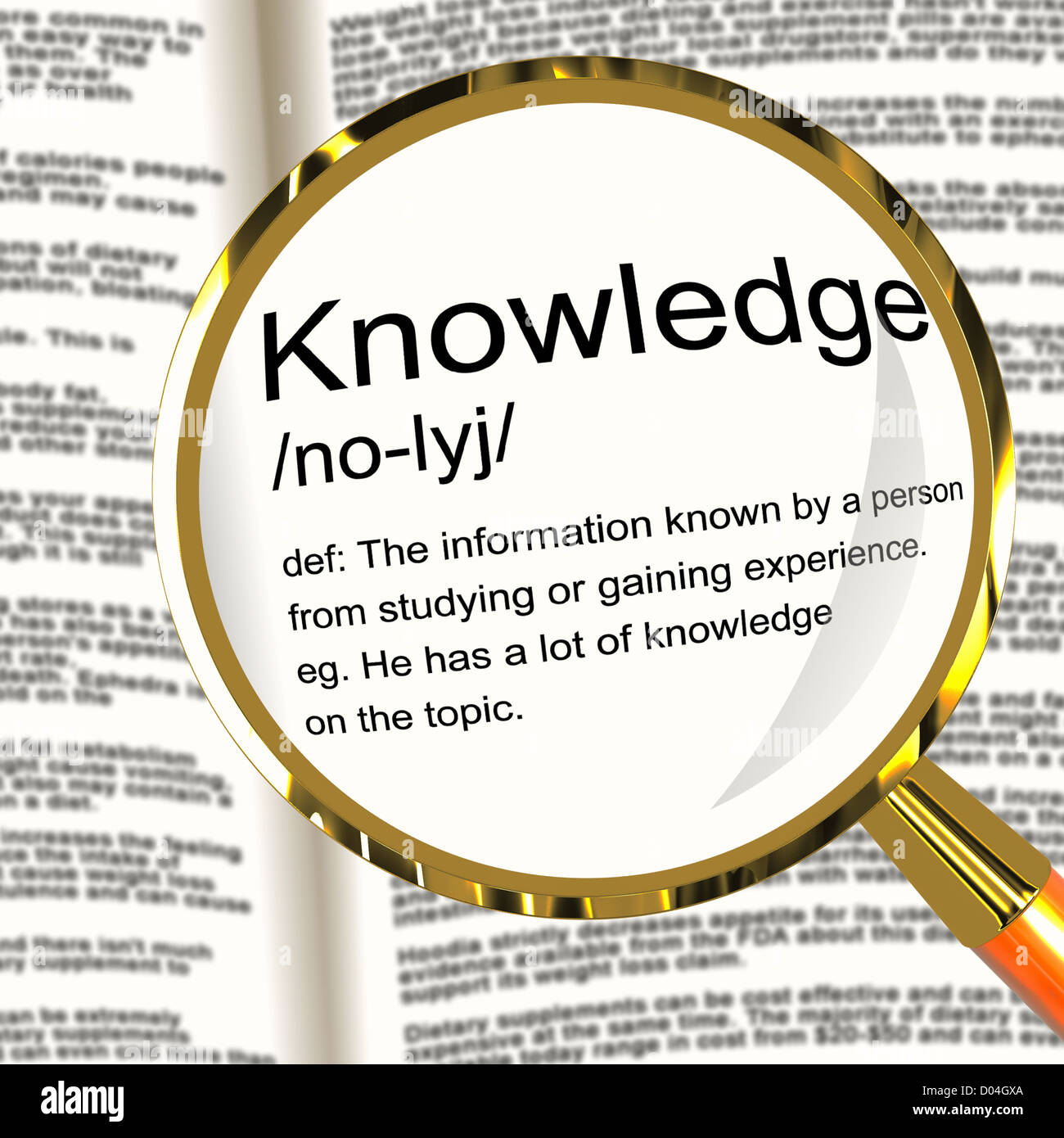 Knowledge Definition Magnifier Shows Information Intelligence And ...