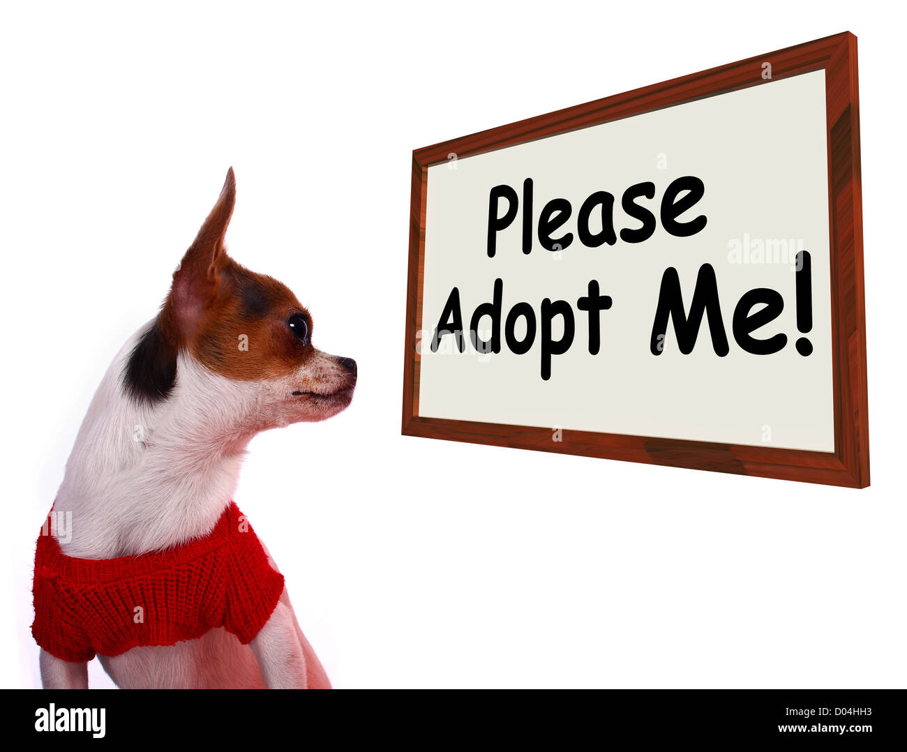 Please Adopt Me Sign Shows Stray Unwanted Canine Stock Photo - Alamy