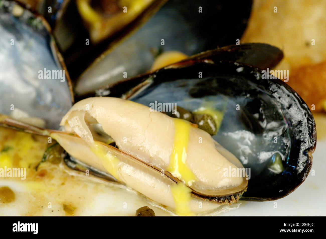 Open mussel in sauce Stock Photo - Alamy