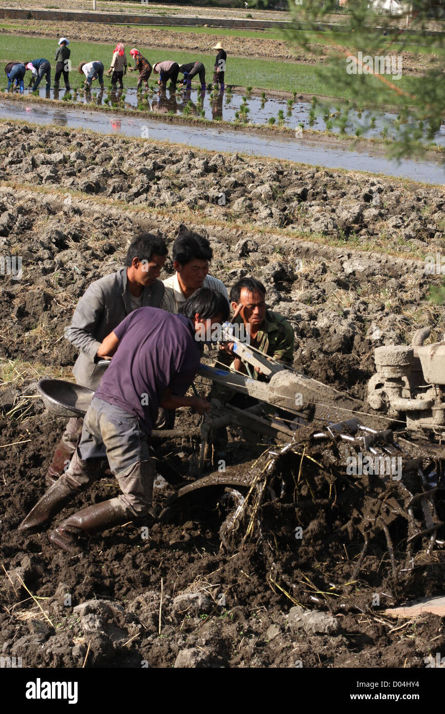 Hand ploughing hi-res stock photography and images - Alamy