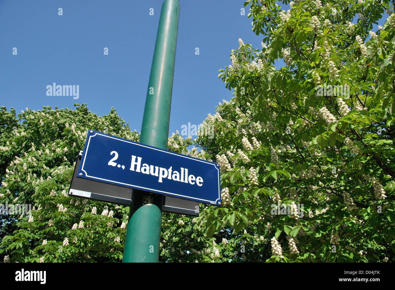 Main avenue street sign Stock Photo - Alamy
