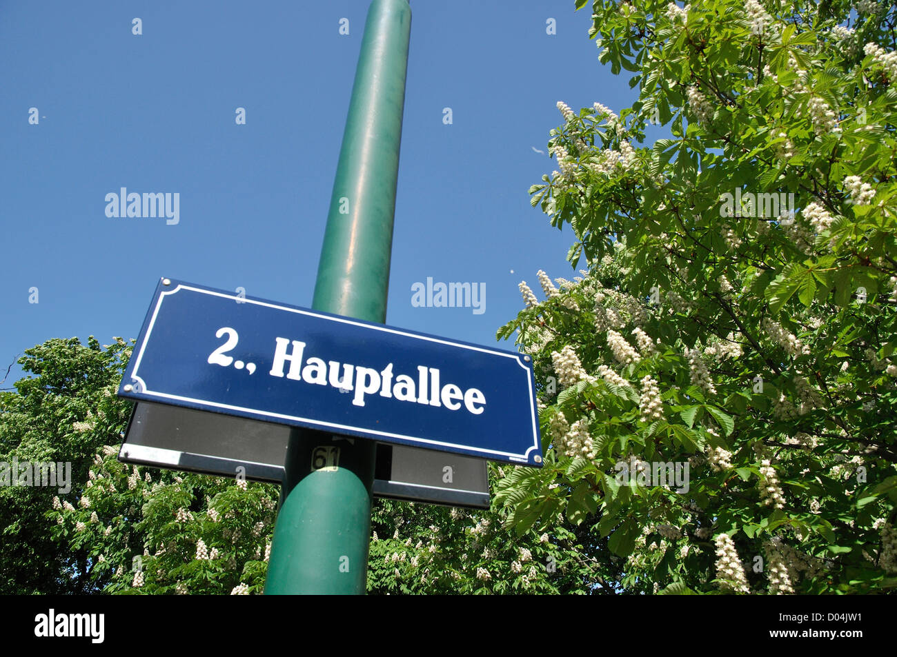 Main avenue street sign Stock Photo - Alamy
