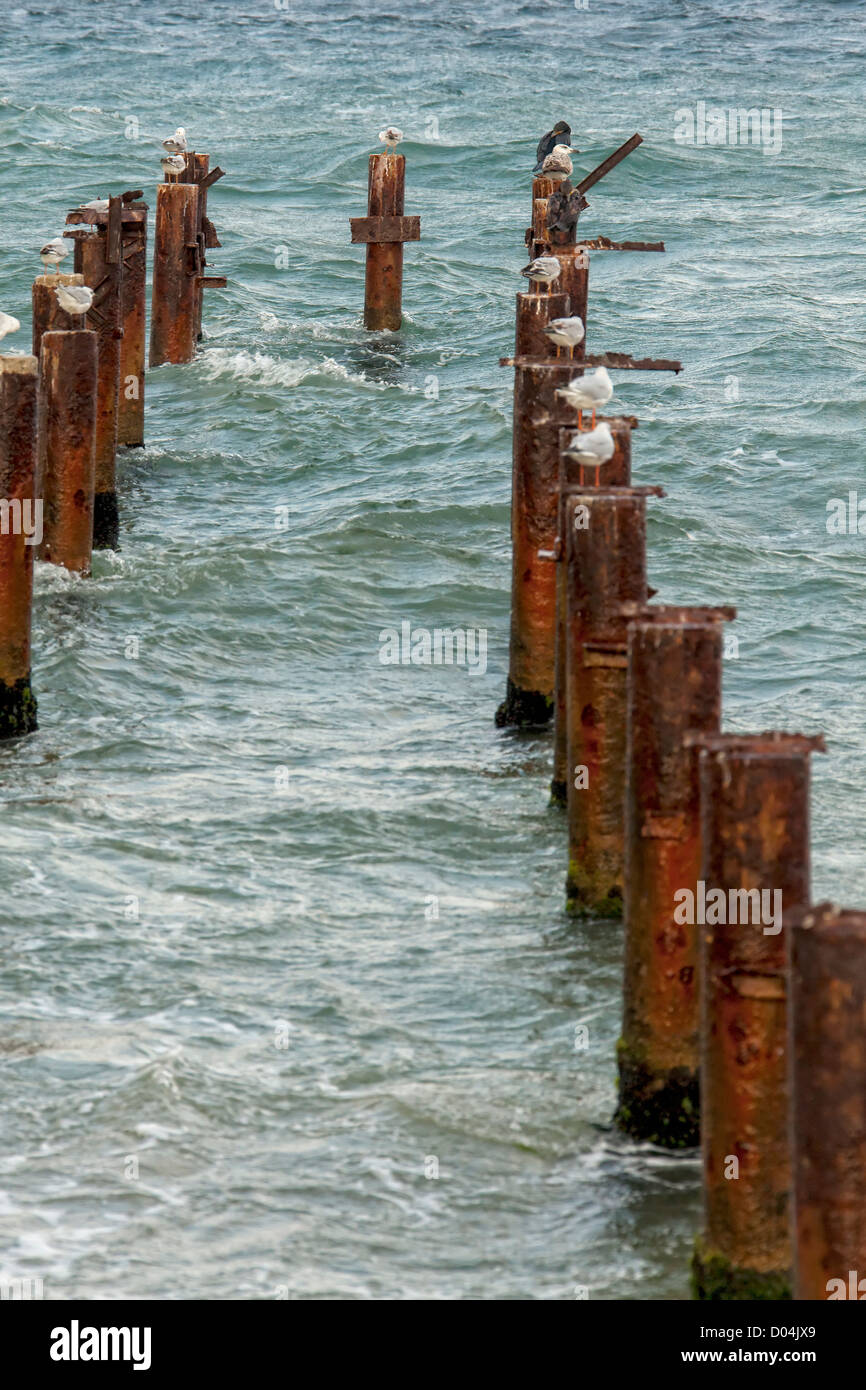 old pier in the sea Stock Photo - Alamy