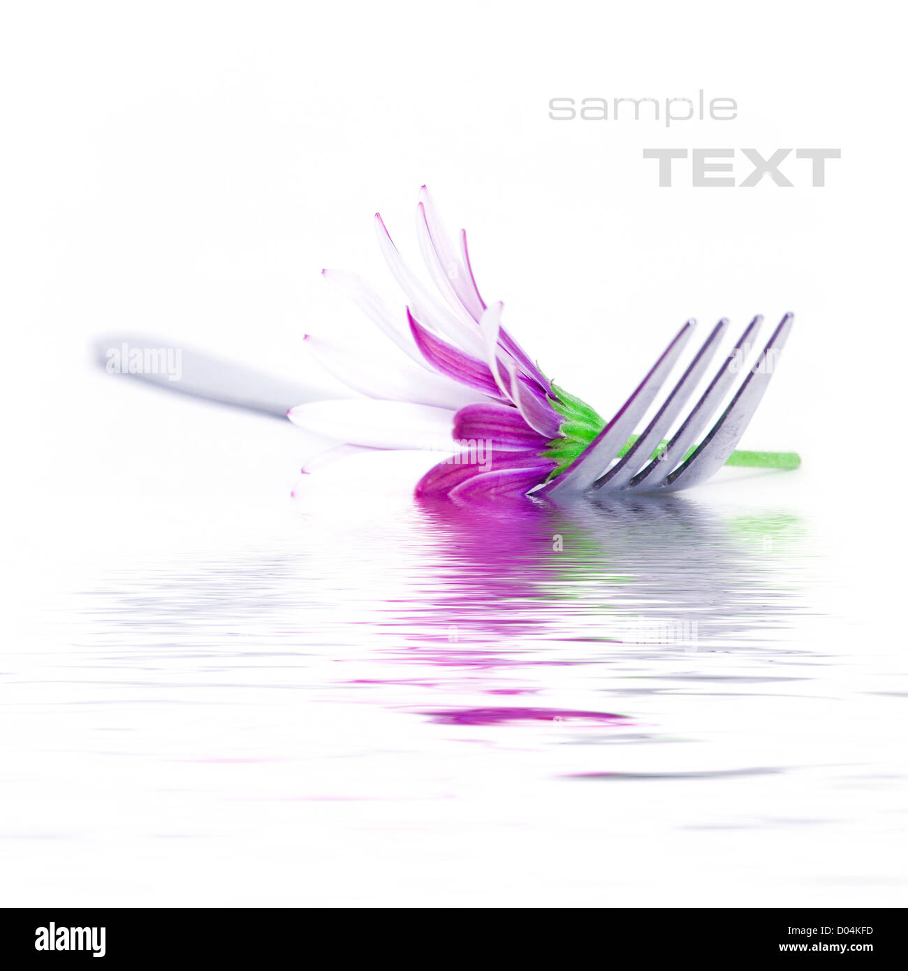 Fork and daisy Stock Photo - Alamy