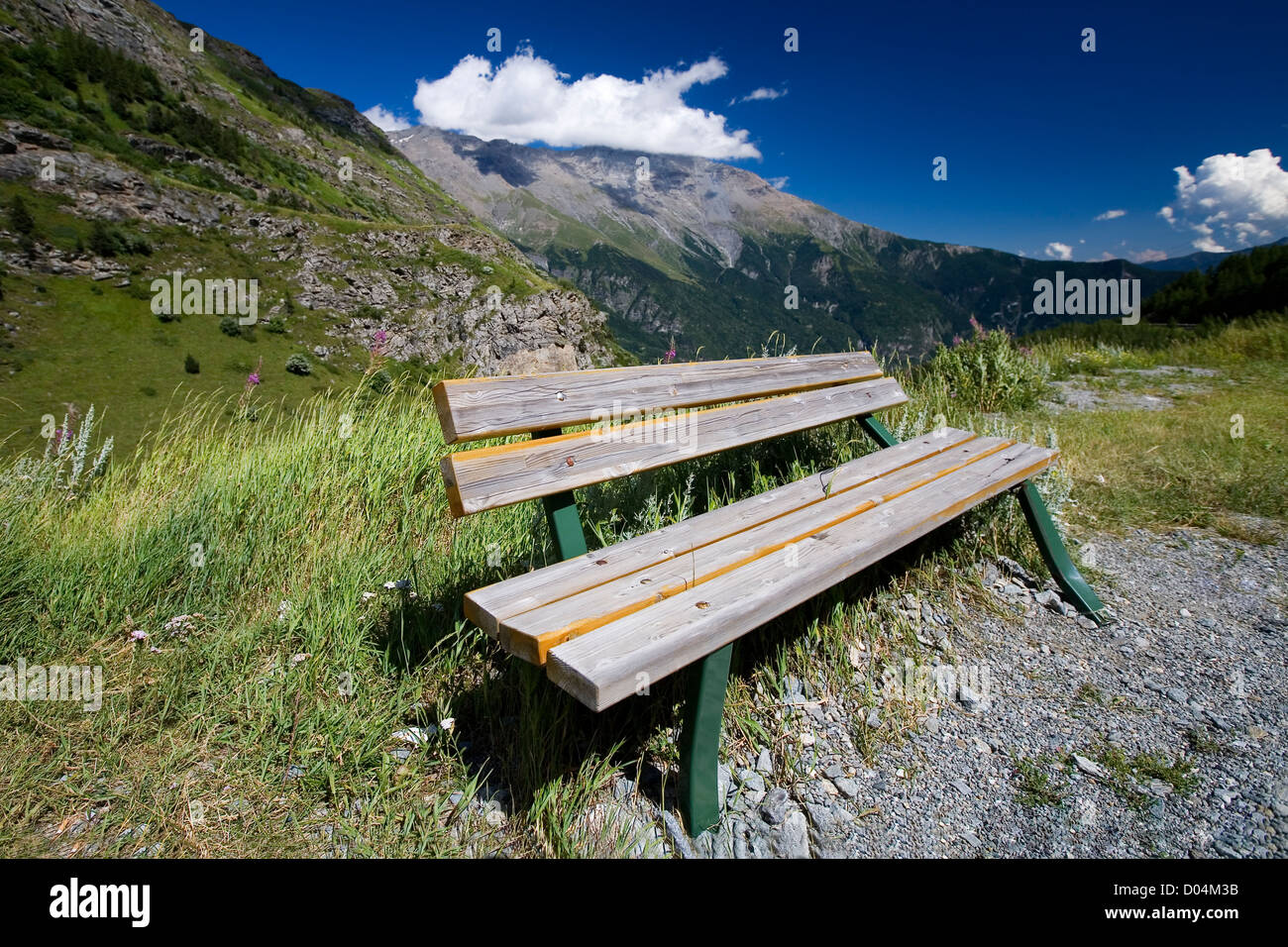 Jasper forest trail hi-res stock photography and images - Alamy
